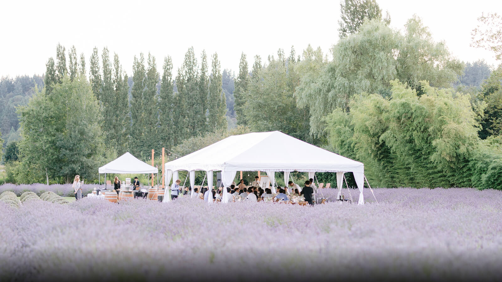 Welcome | Aztec Tents