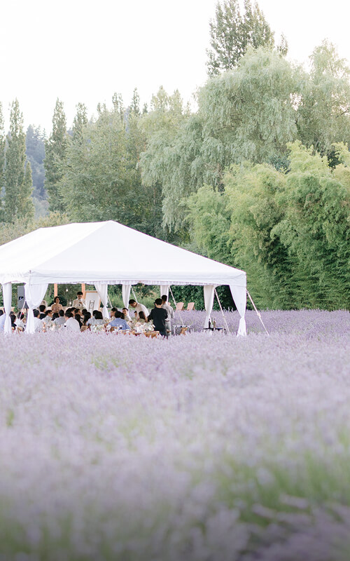 Welcome | Aztec Tents