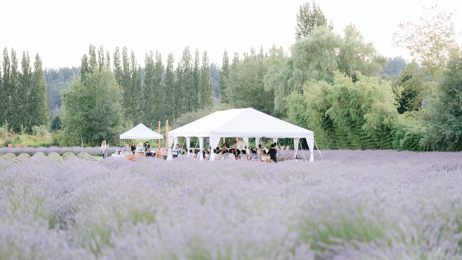 Welcome | Aztec Tents