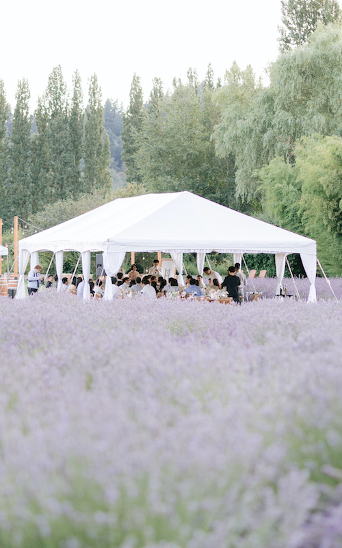 Welcome | Aztec Tents